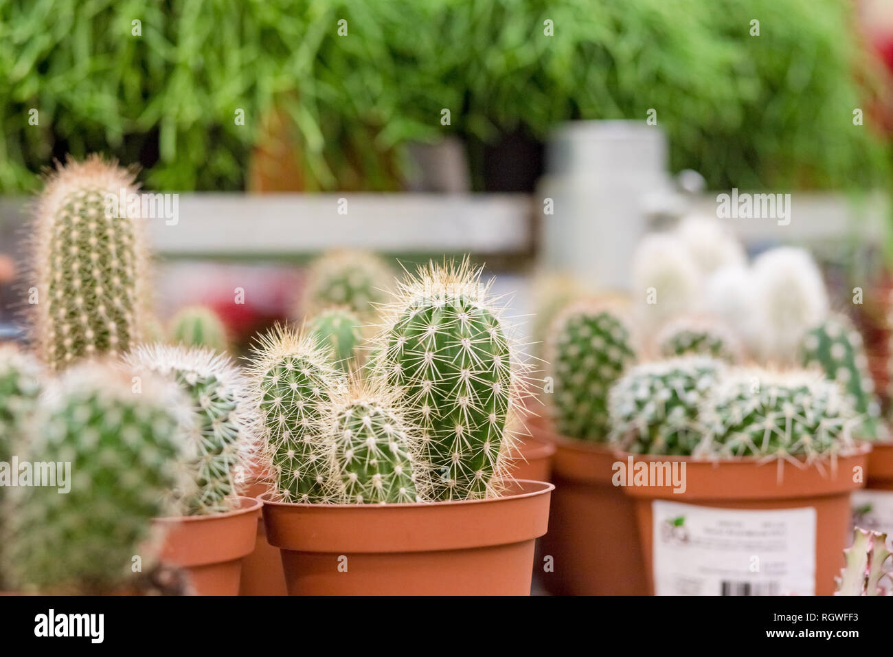 Minimal shop window display hi-res stock photography and images - Alamy