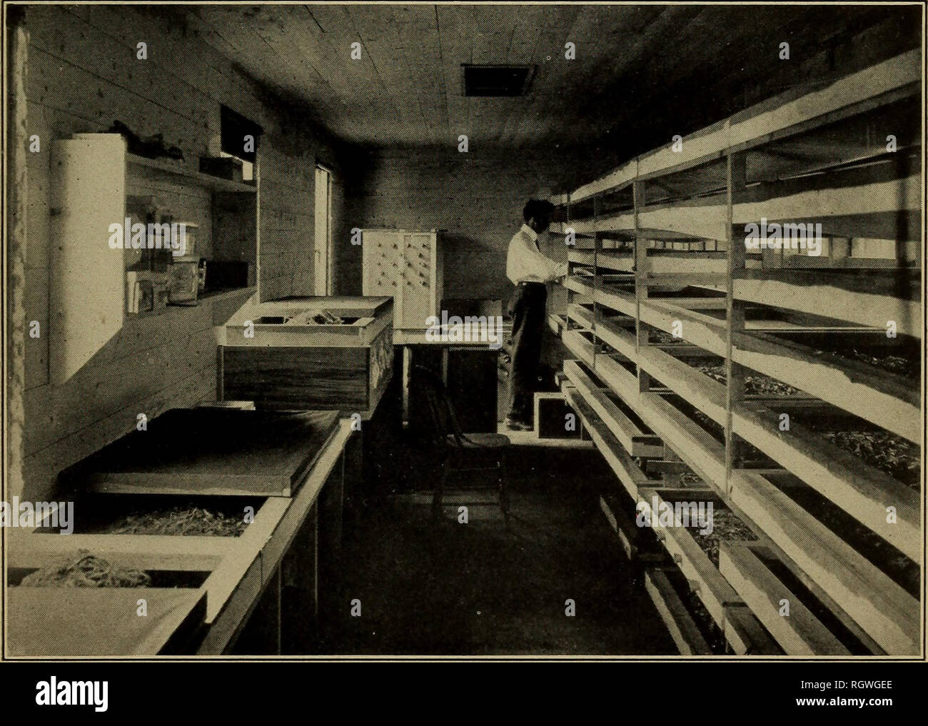 Moth rearing hi-res stock photography and images - Alamy