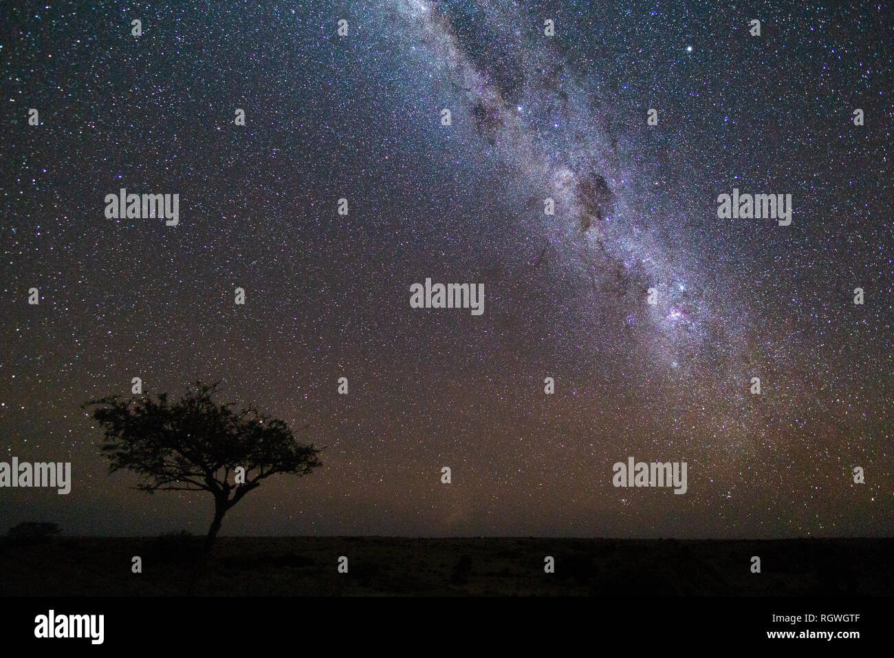 Night Sky Milky Way Namibia High Resolution Stock Photography and ...