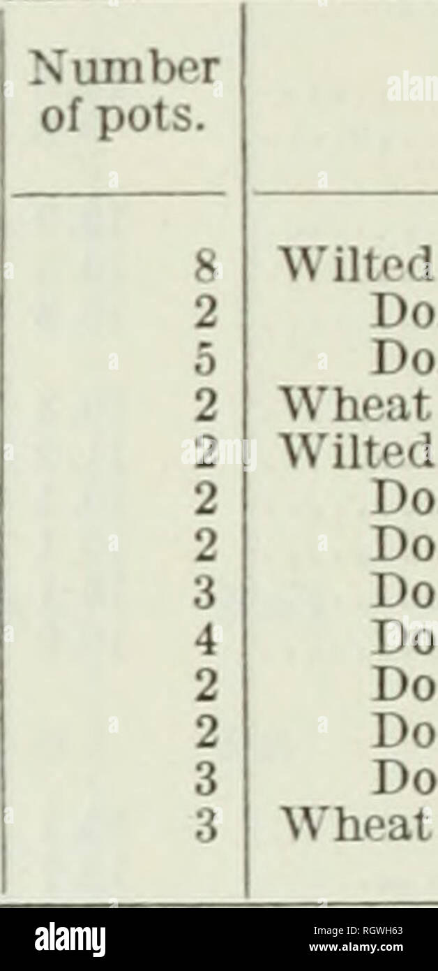 Wilted plant comparison hi-res stock photography and images - Alamy