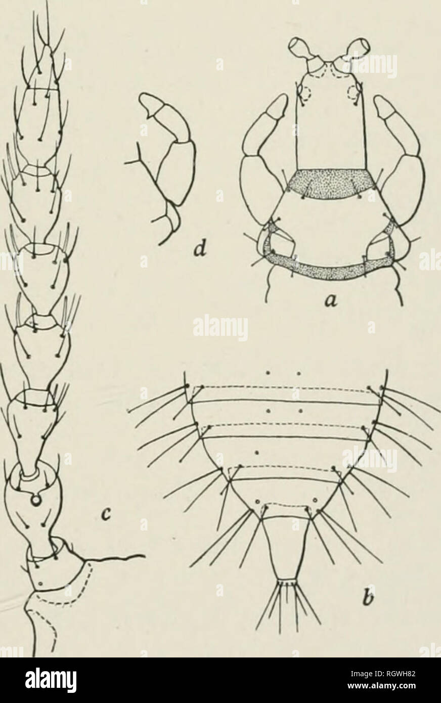 Width 89 mm hi-res stock photography and images - Alamy