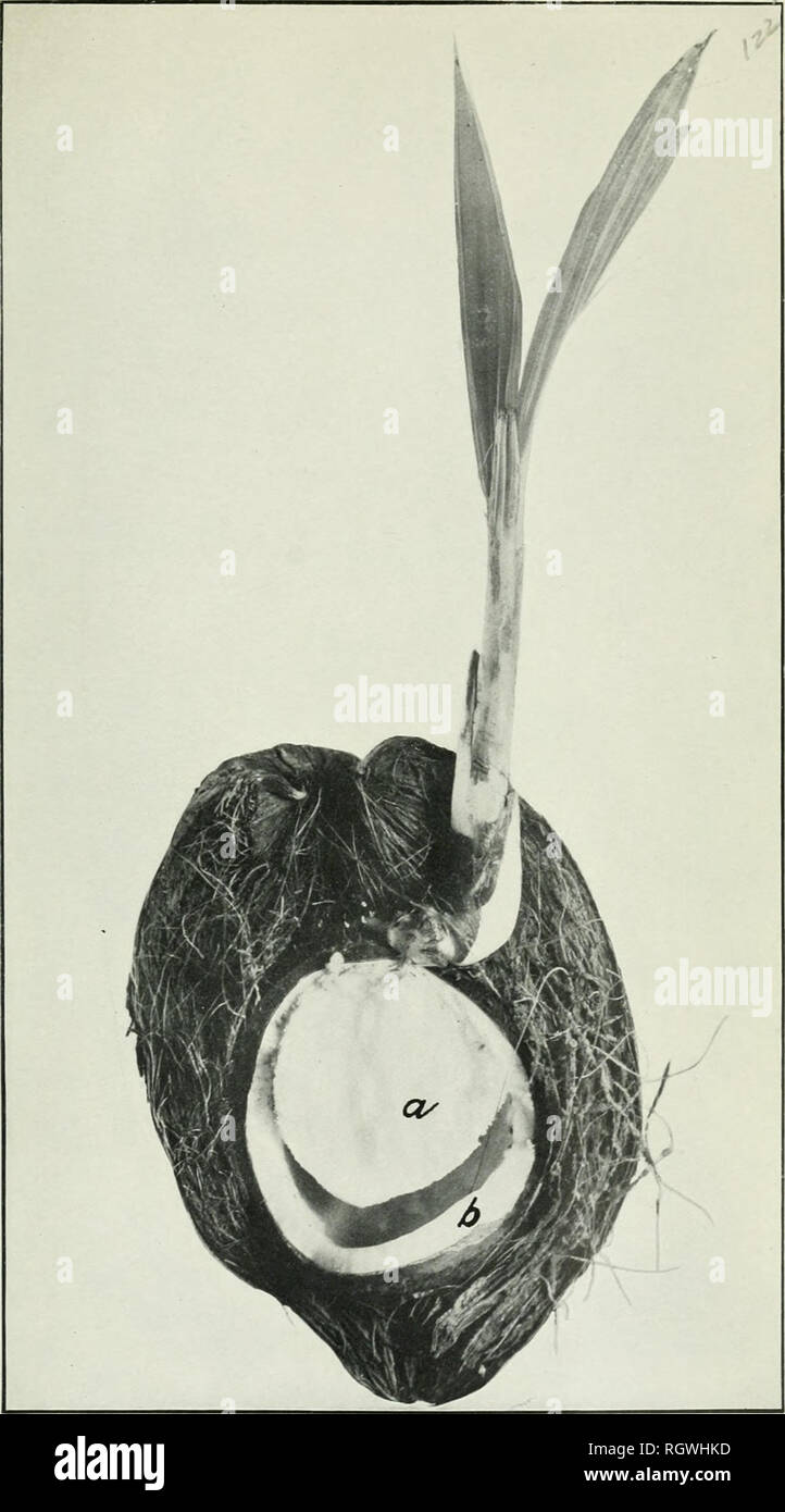 Parts of a bui hi-res stock photography and images - Alamy