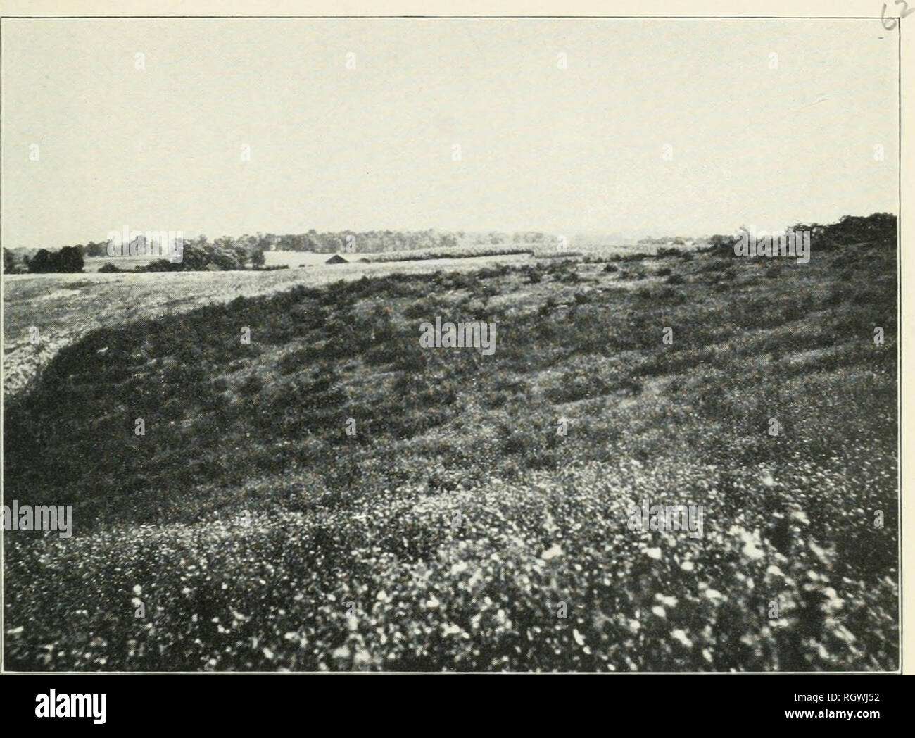 Bender farm hi-res stock photography and images - Alamy