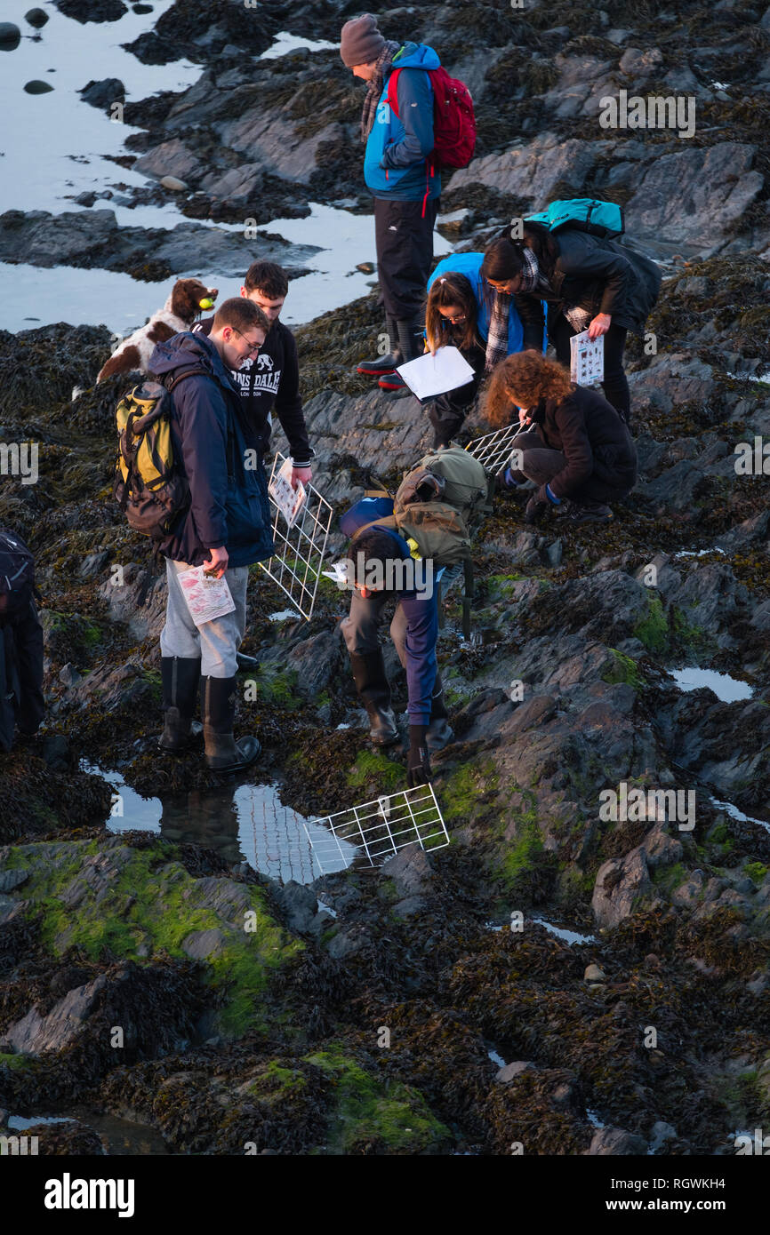 Marine Ecology education: A group of university college students on the ...