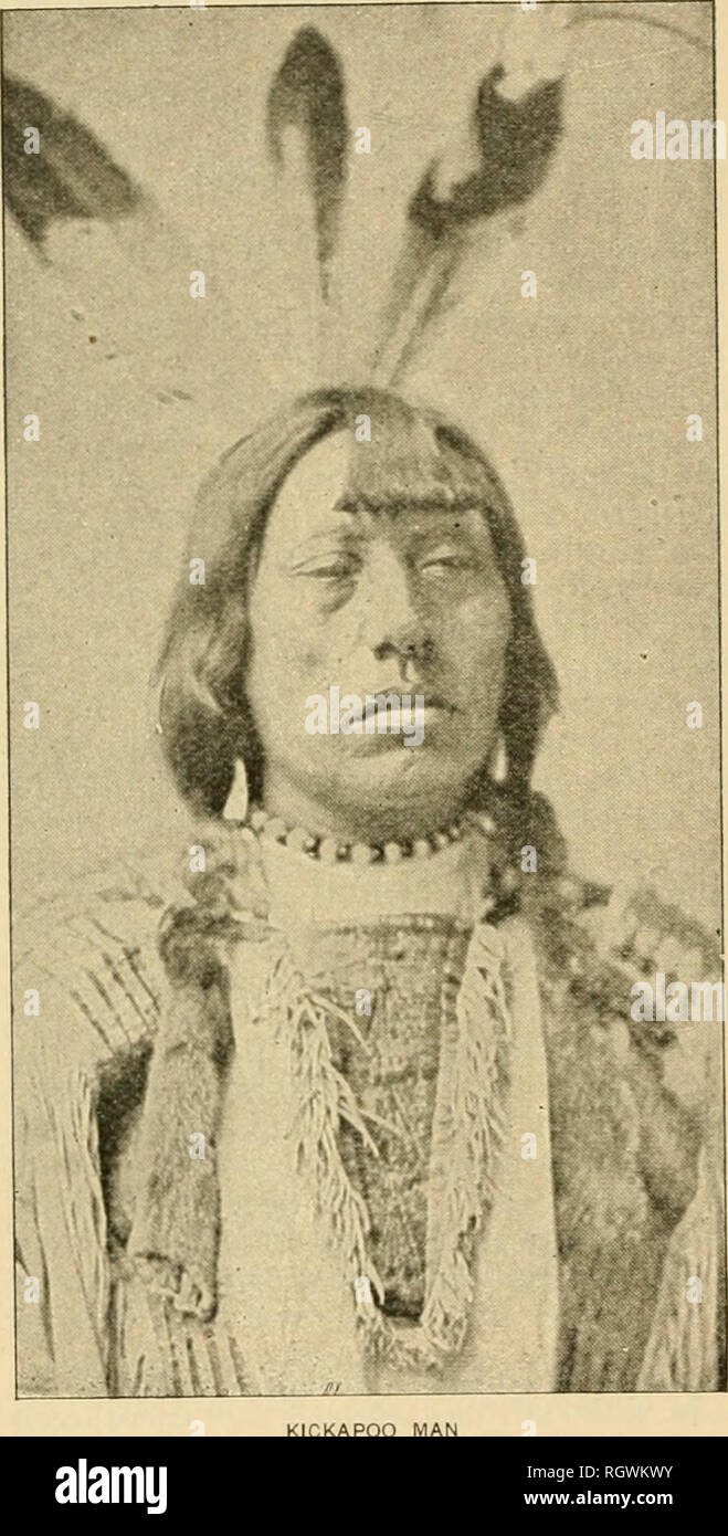 Miami tribe algonquian hi-res stock photography and images - Alamy