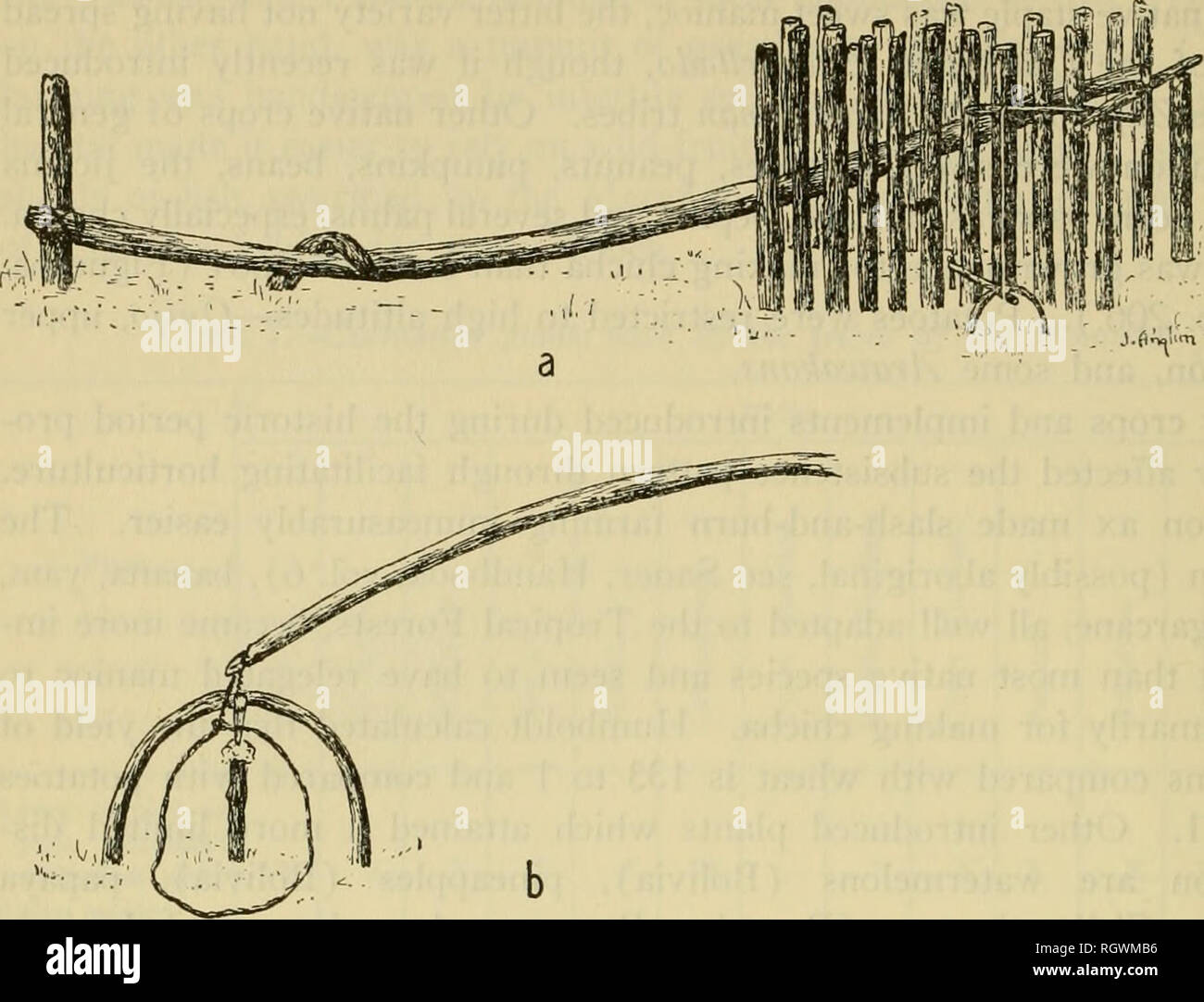 Deadfall traps hi-res stock photography and images - Alamy