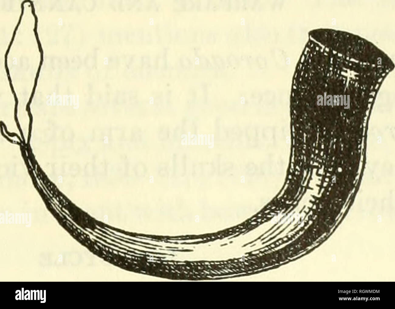 Hafted arrow hi-res stock photography and images - Alamy