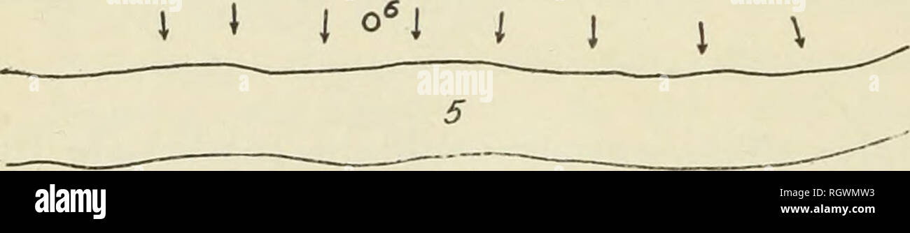 Gradual slope hi-res stock photography and images - Alamy