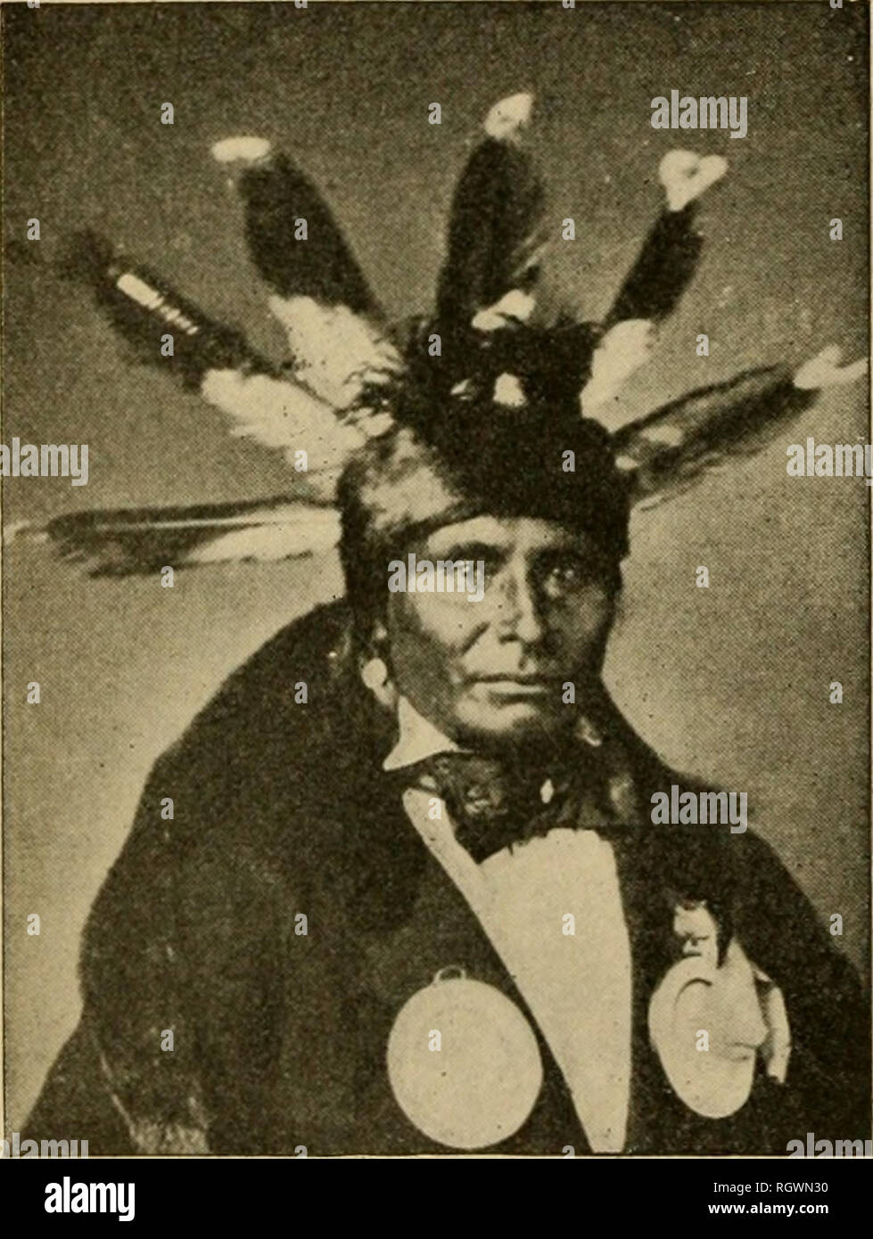 Buffalo plains 1880 hi-res stock photography and images - Alamy