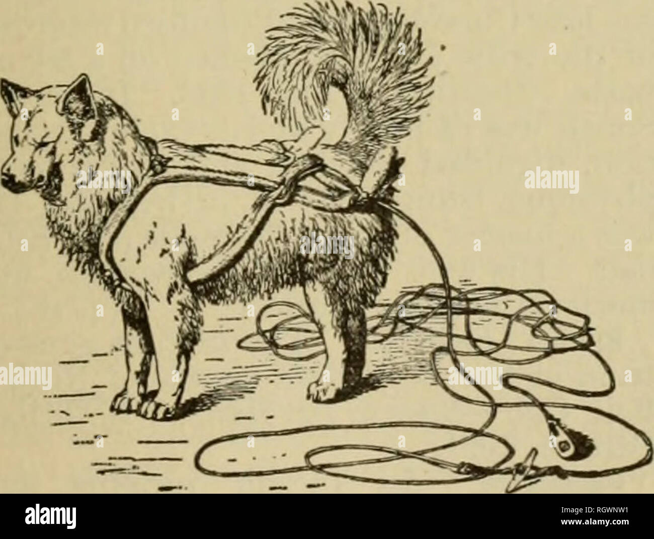 Bent crossbars hi-res stock photography and images - Alamy