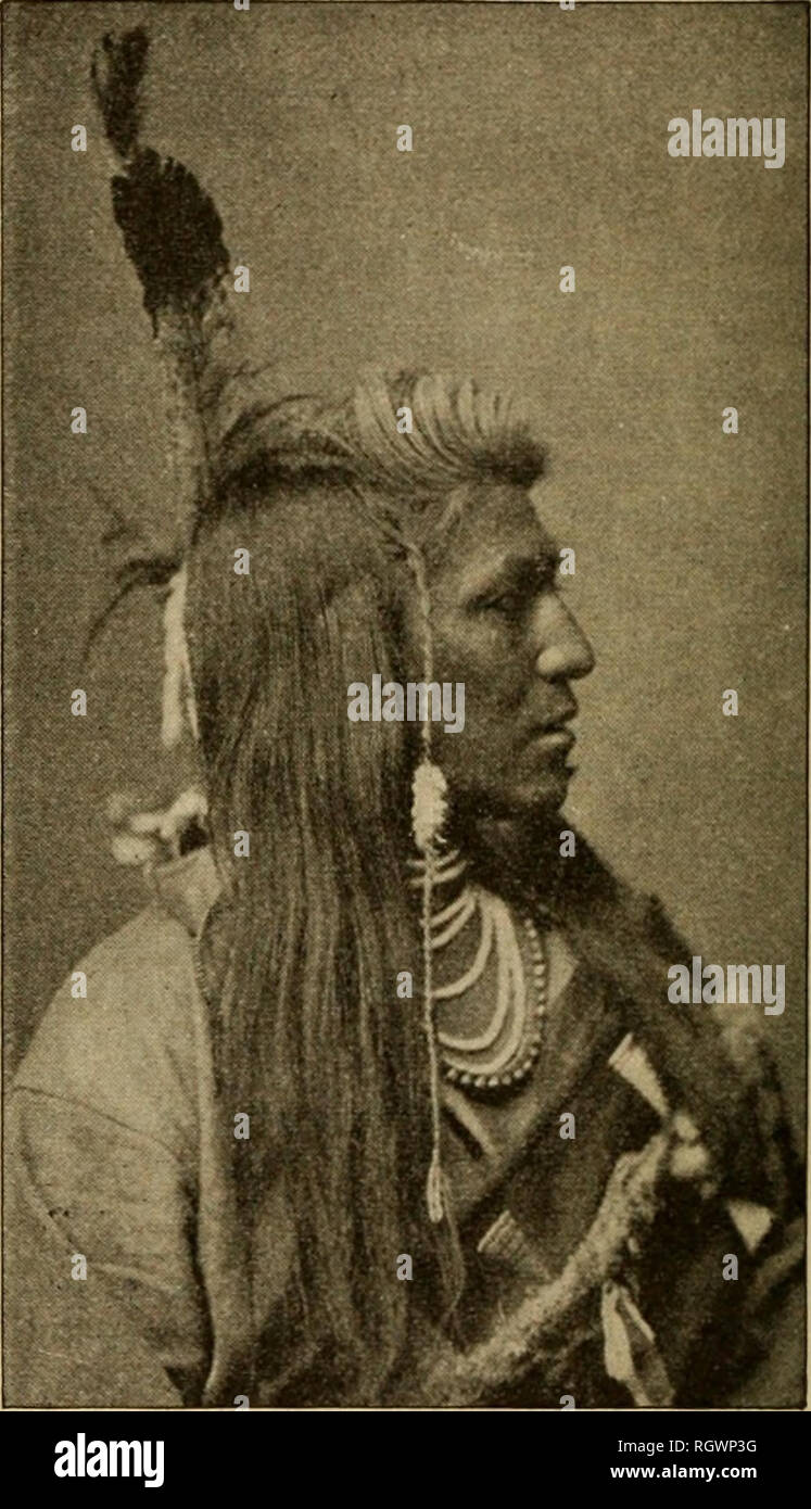 . Bulletin. Ethnology. 556 SHOSHONI [b. a. e. Chemehuevi: Chemehuevi ...