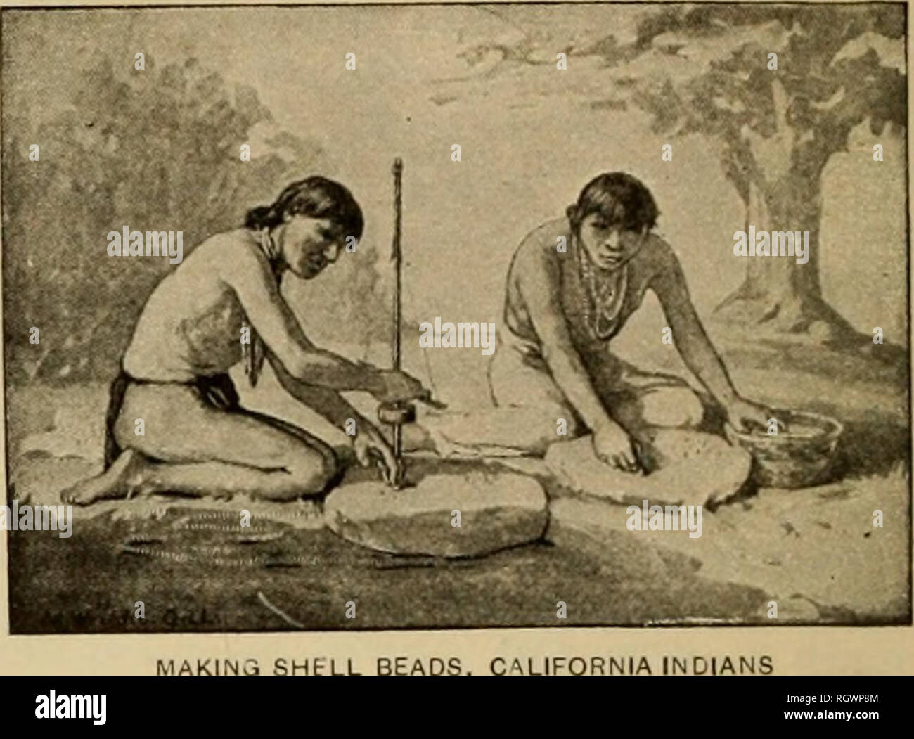 Suspended shells hi-res stock photography and images - Alamy