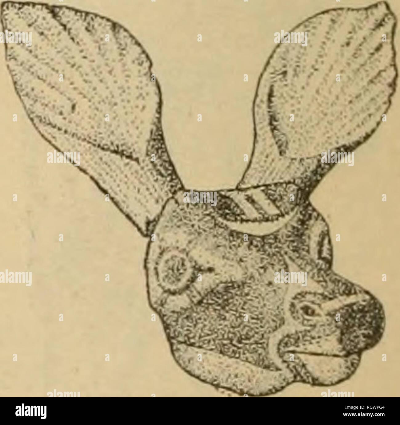 Thomas henshaw jones hi-res stock photography and images - Alamy