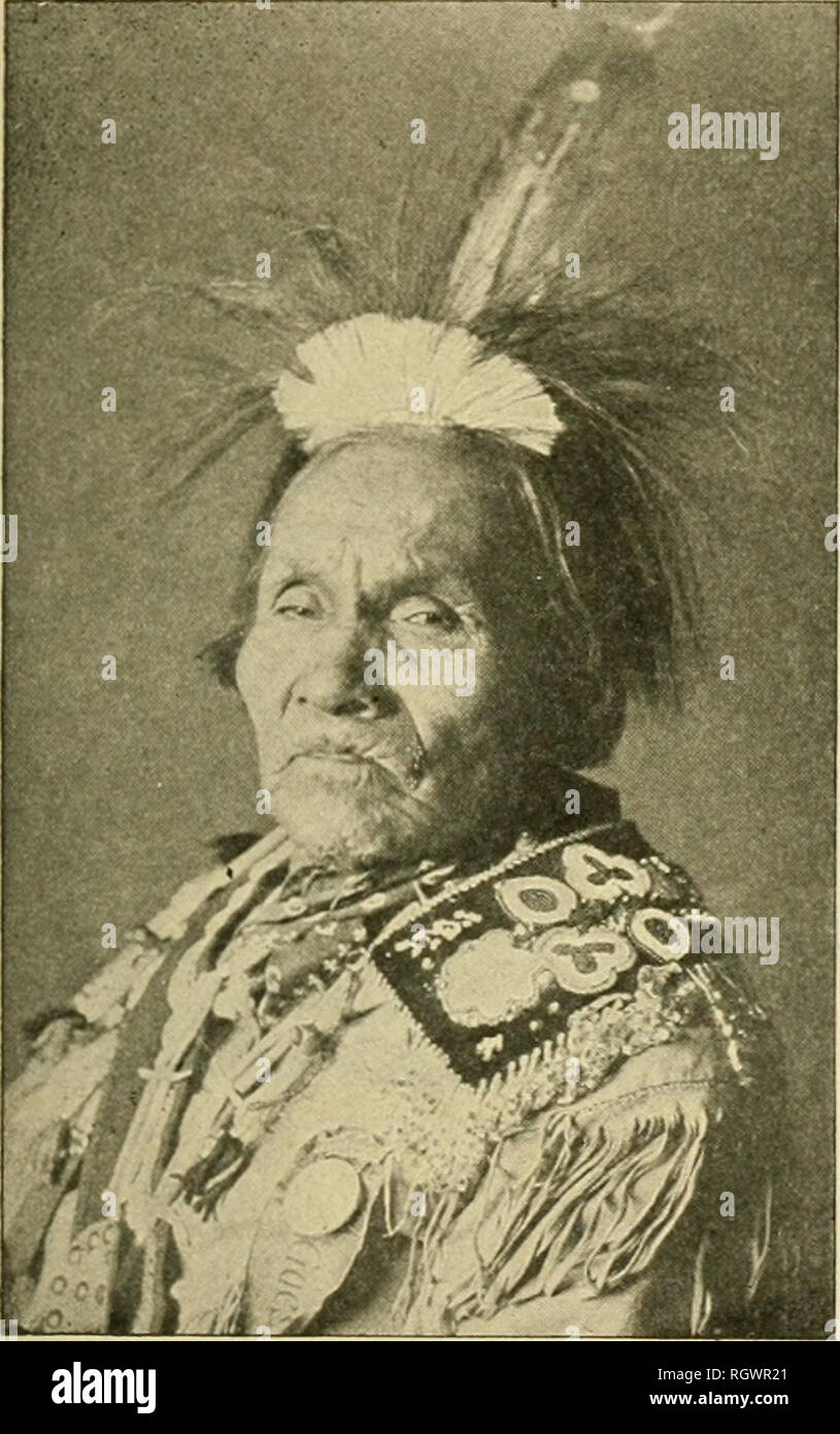 Calusa tribe hi-res stock photography and images - Alamy
