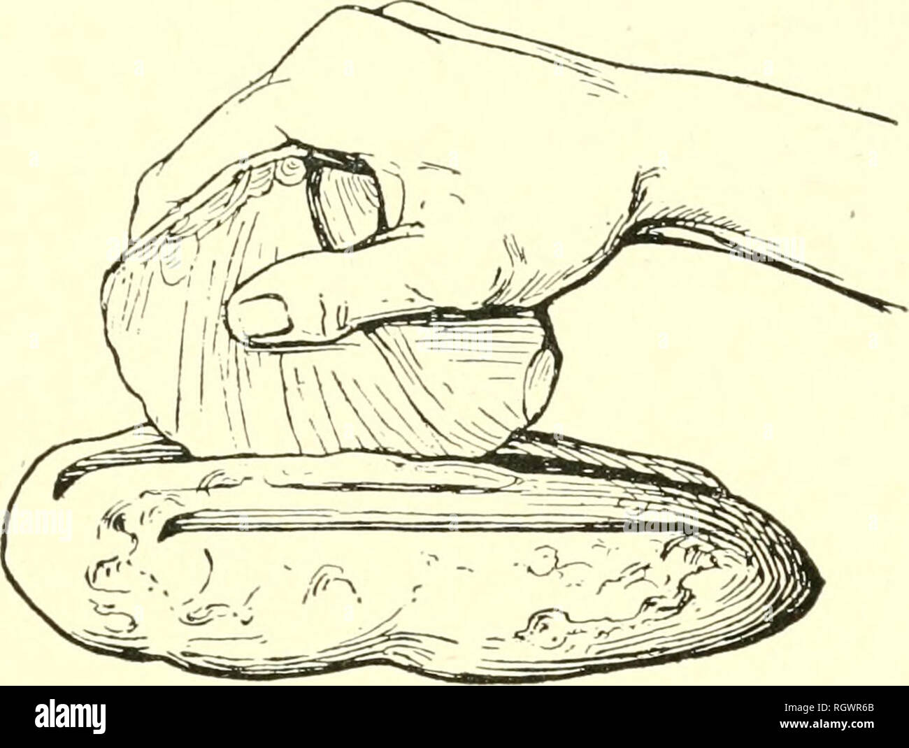 Abrader hi-res stock photography and images - Alamy