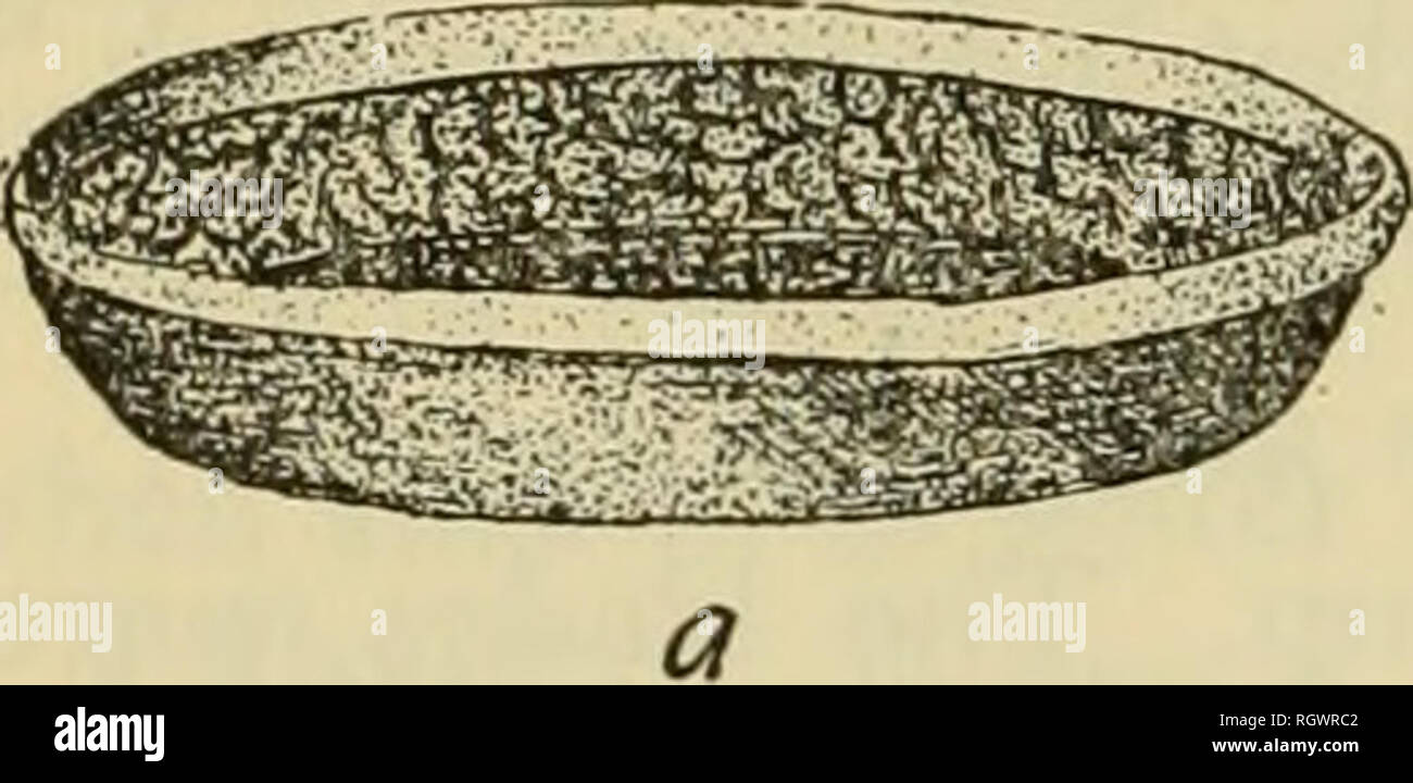 . Bulletin. Ethnology. 110 SOUTH AMERICAN INDIANS [B.A.E. Bull. 143 ...