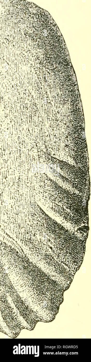 With abrading and scraping hi-res stock photography and images - Alamy