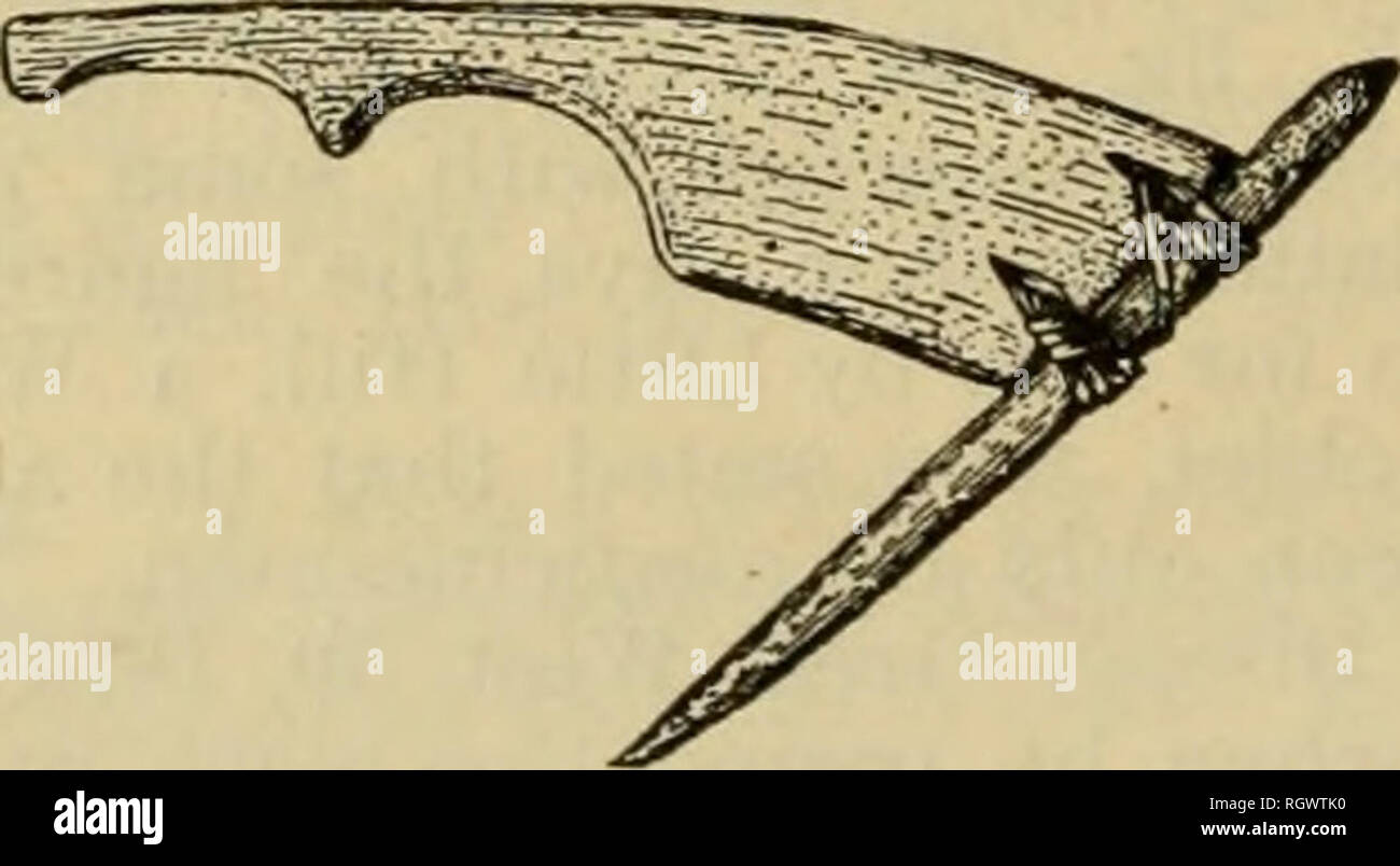 Soyal hopi hi-res stock photography and images - Alamy