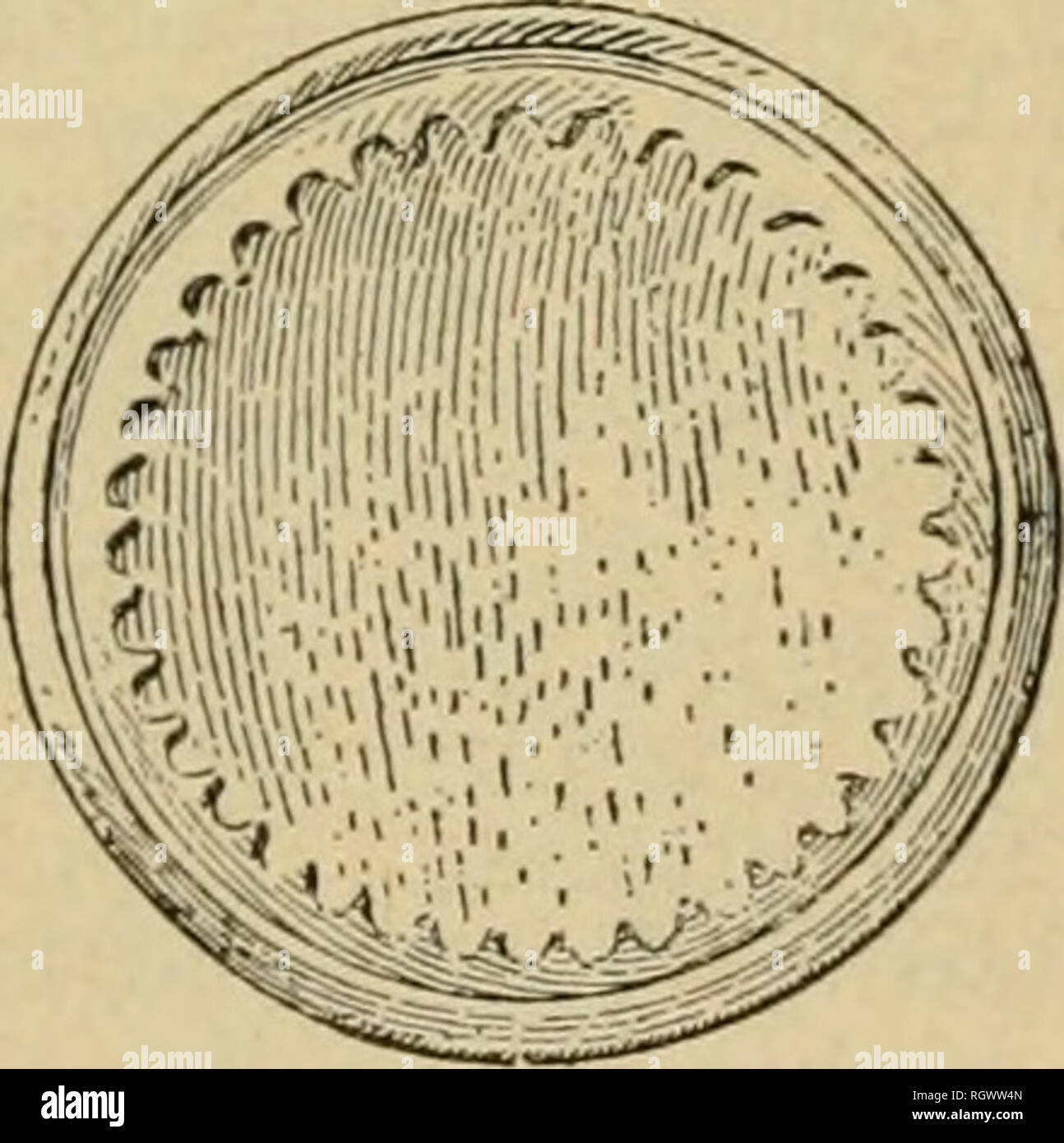 Tablet described hi-res stock photography and images - Alamy