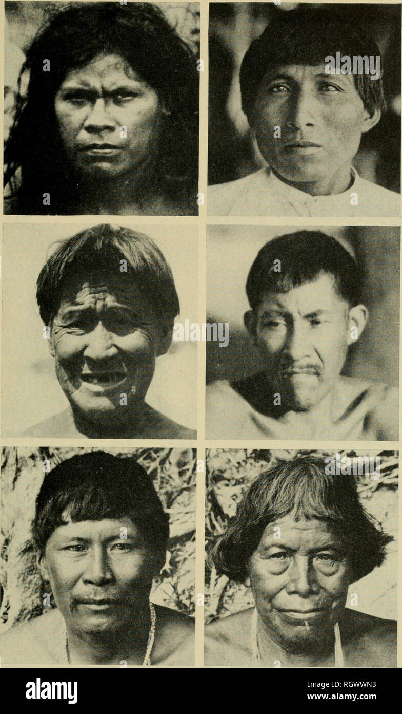 Native American Facial Features Anthropology