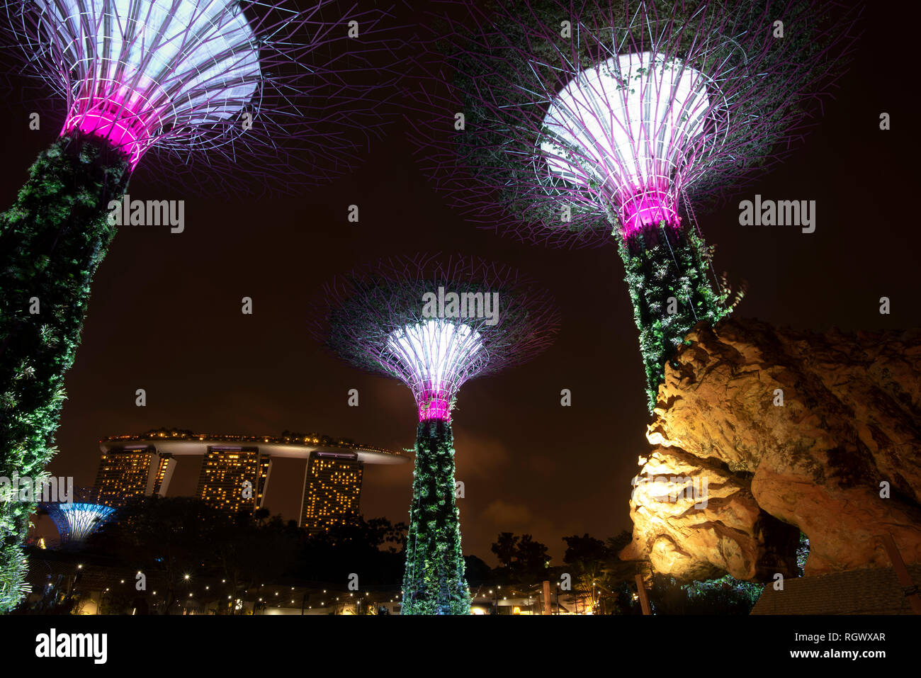 Supertree garden at night in Garden by the bay, Singapore Stock Photo - Alamy