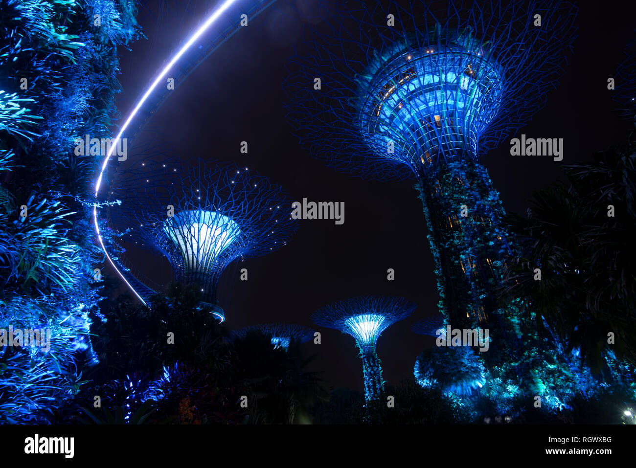 Supertree garden at night in Garden by the bay, Singapore Stock Photo ...