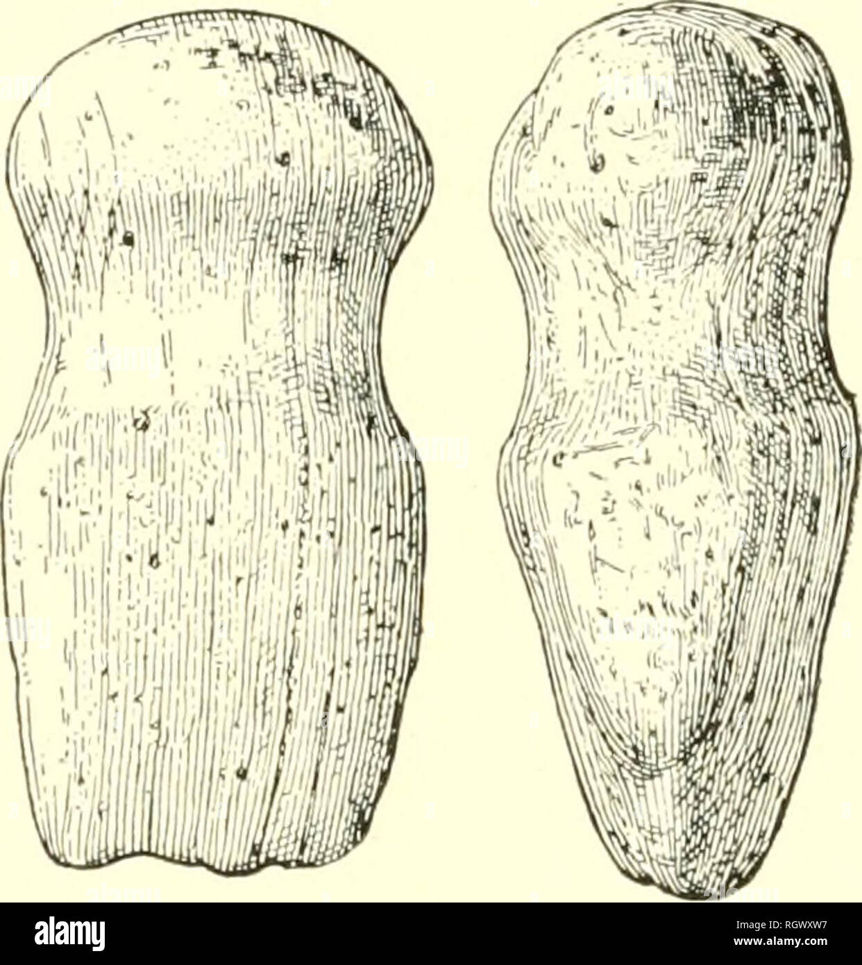 Neolithic implements of stone hi-res stock photography and images - Alamy