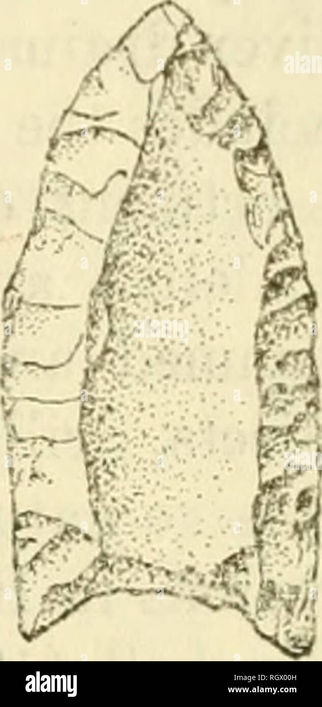 Folsom point hi-res stock photography and images - Alamy