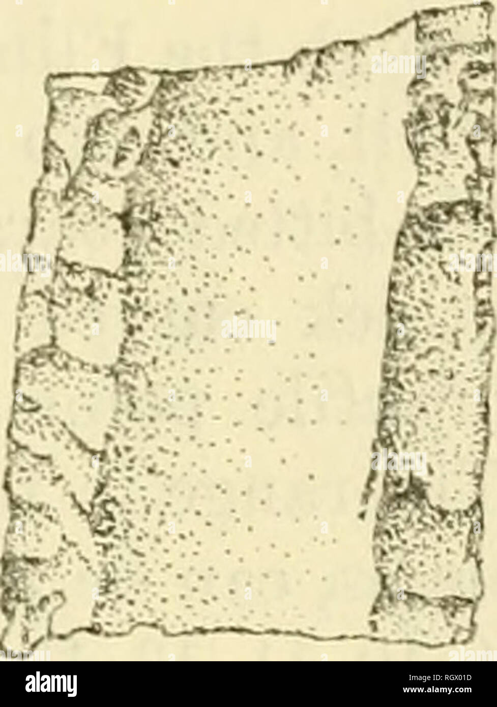 Fluted folsom point hi-res stock photography and images - Alamy