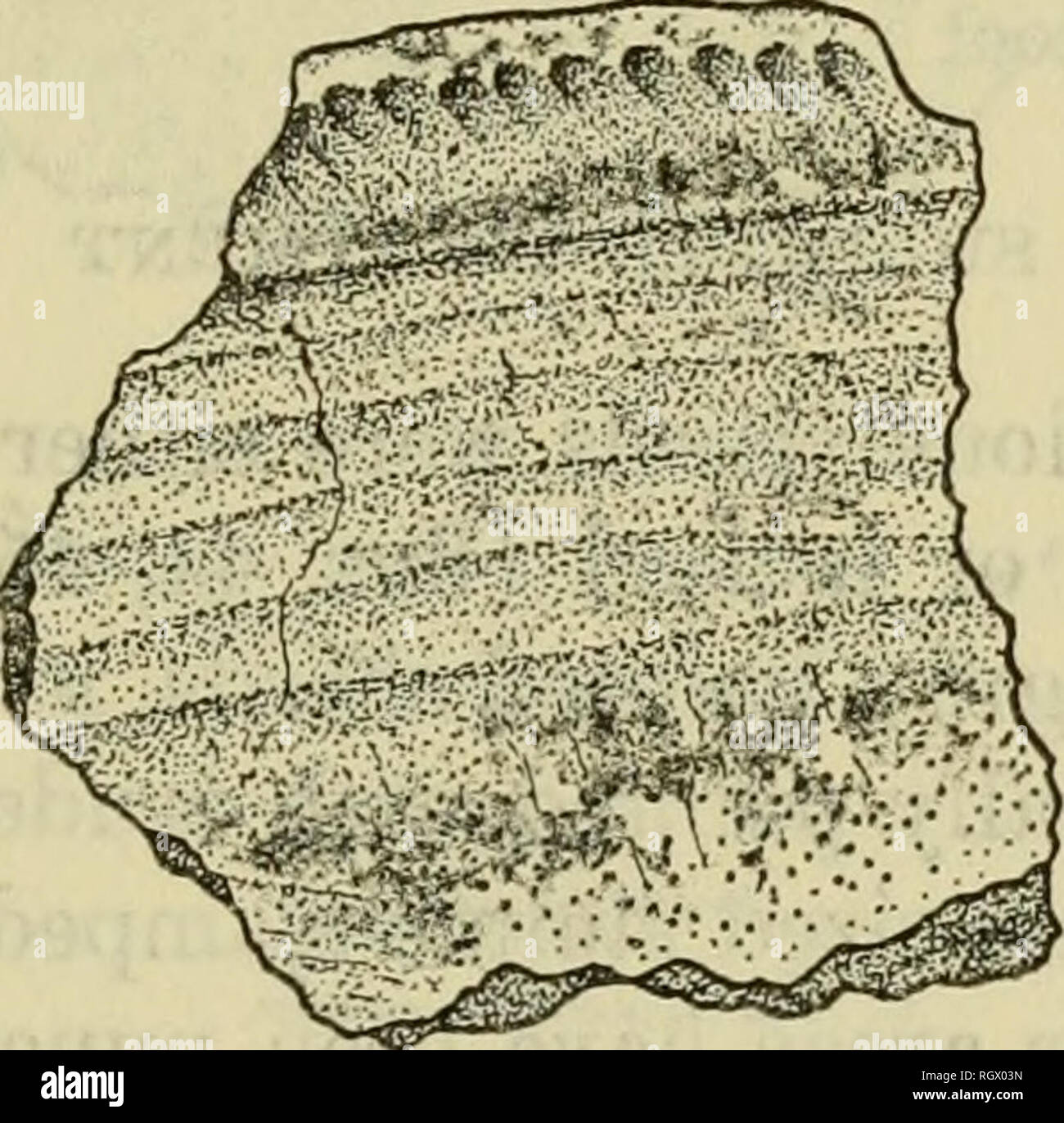 Rlv design hi-res stock photography and images - Alamy