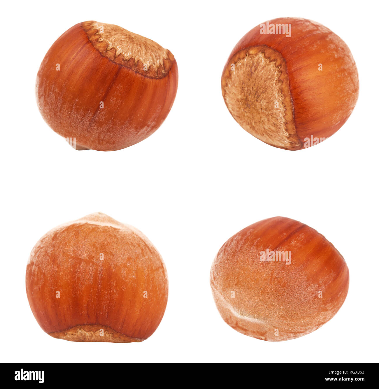 Collection of nuts isolated on white background Stock Photo - Alamy