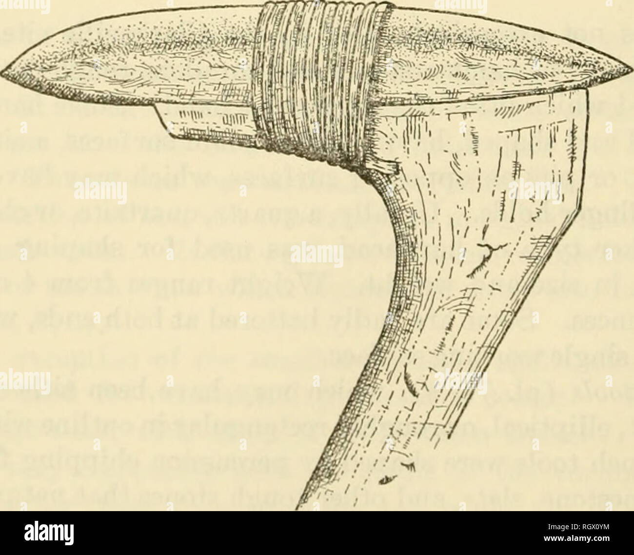 Hafted adzes hi-res stock photography and images - Alamy