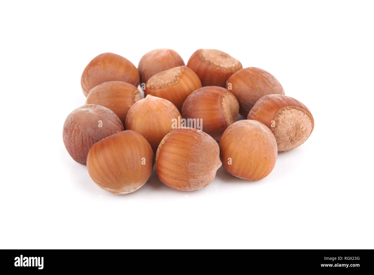 nuts filberts isolated on a white background Stock Photo - Alamy