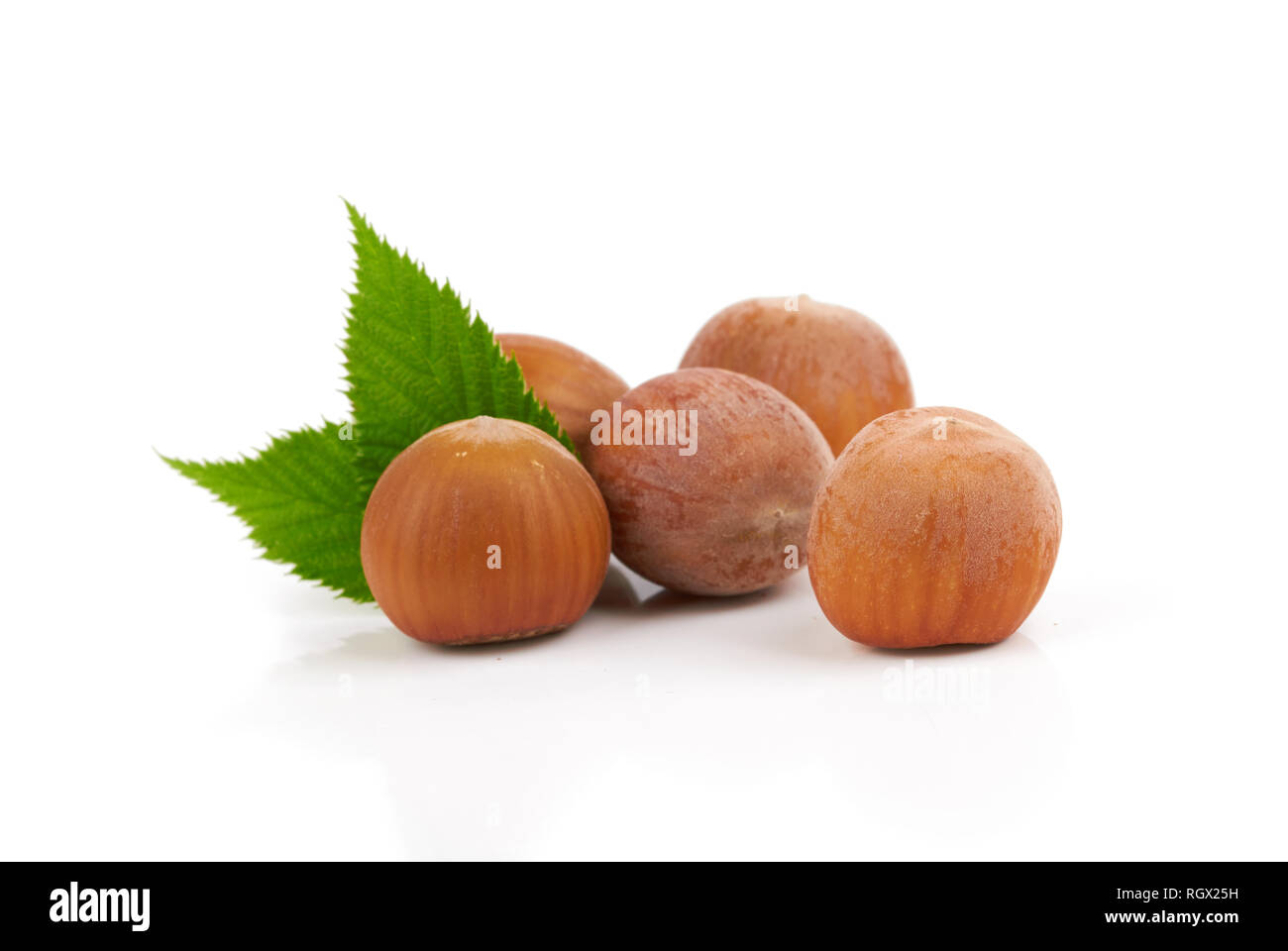 nuts filberts isolated on a white background Stock Photo - Alamy