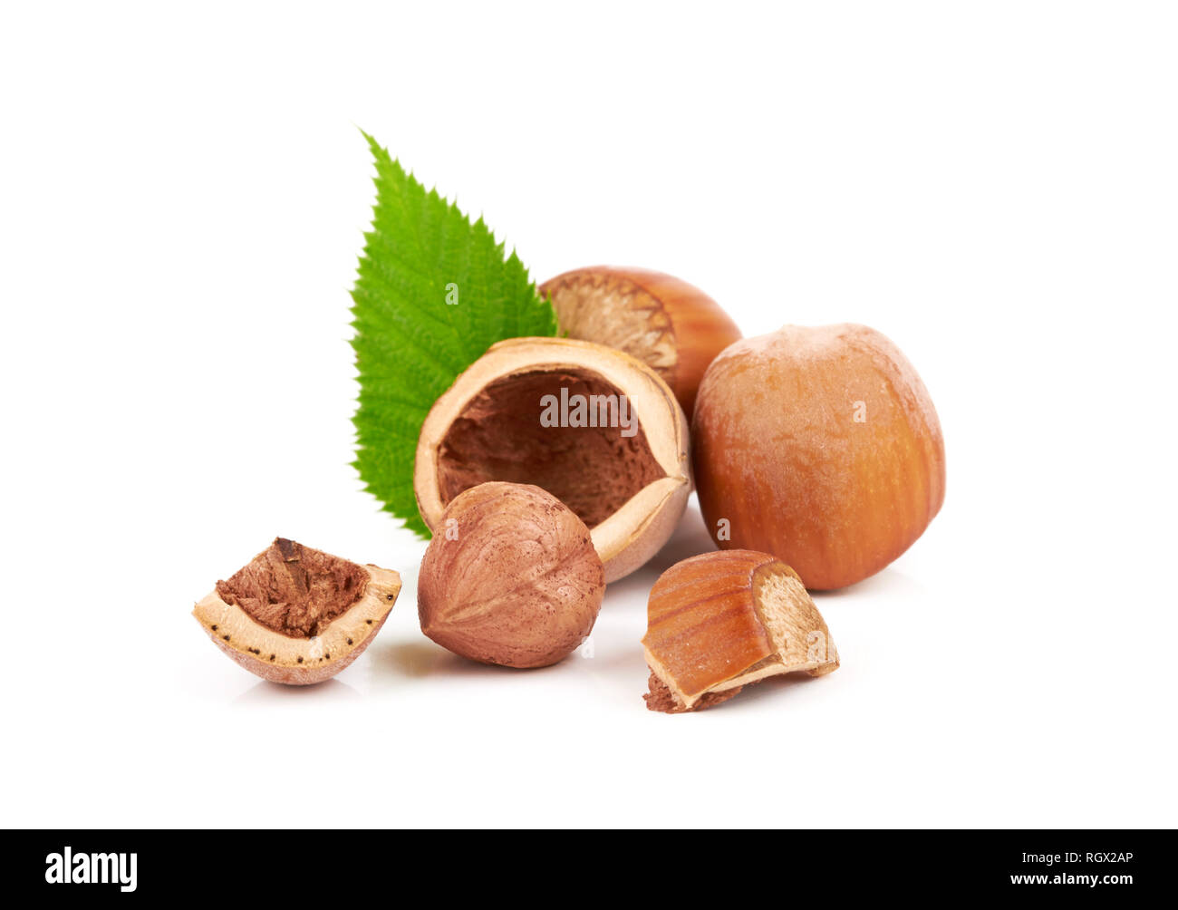 Nuts filberts isolated on white a background Stock Photo - Alamy