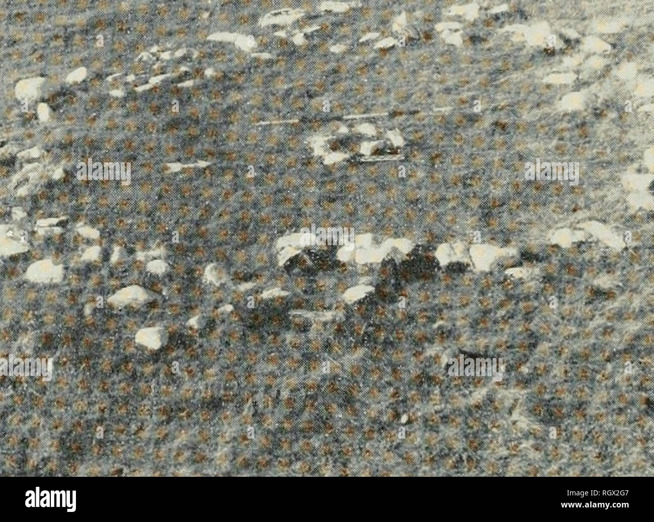 Tipi rings hi-res stock photography and images - Alamy