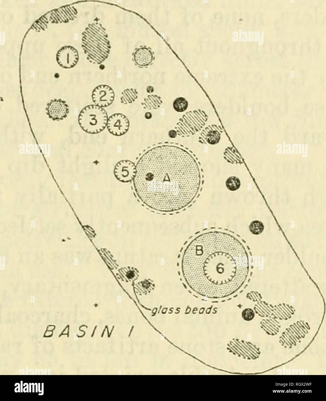Elliptical basin hi-res stock photography and images - Alamy