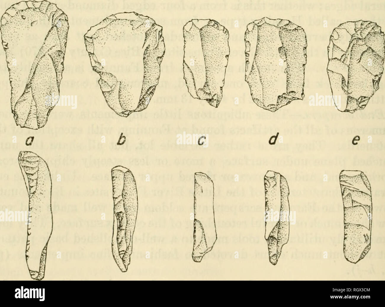 Limestone matrix hi-res stock photography and images - Alamy