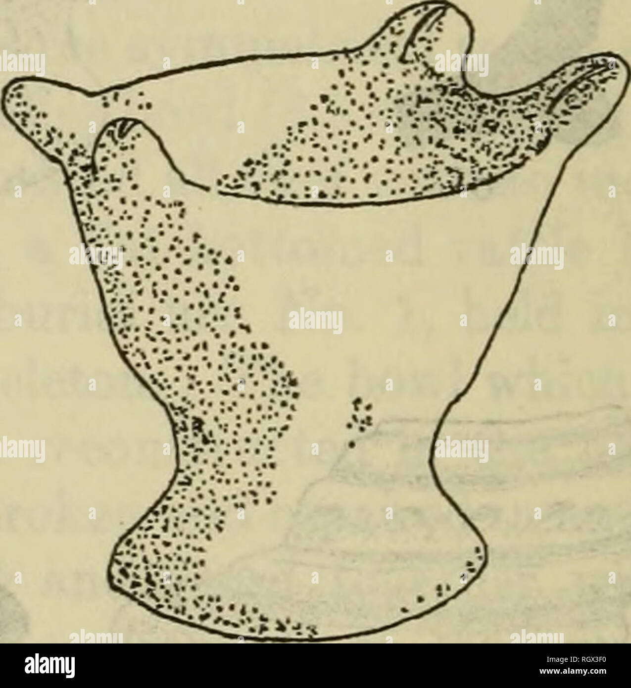 Sitio conte panama hi-res stock photography and images - Alamy