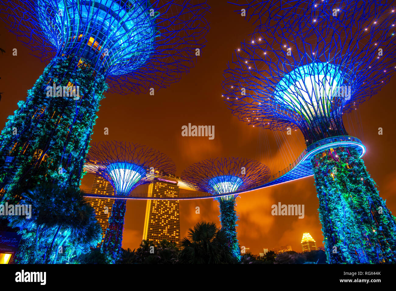 Supertree garden at night in Garden by the bay, Singapore Stock Photo - Alamy
