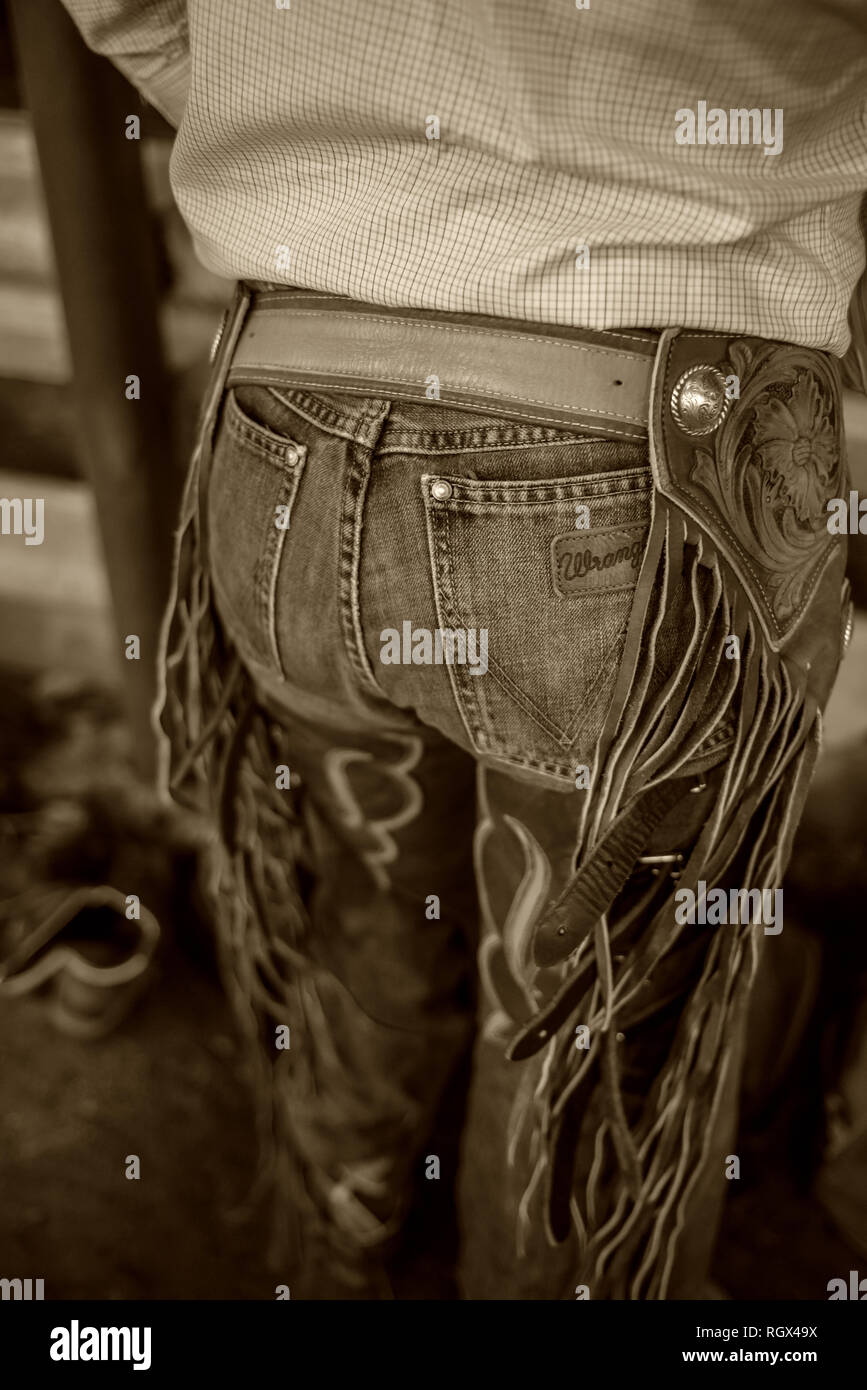 Professional wrangler hi-res stock photography and images - Alamy