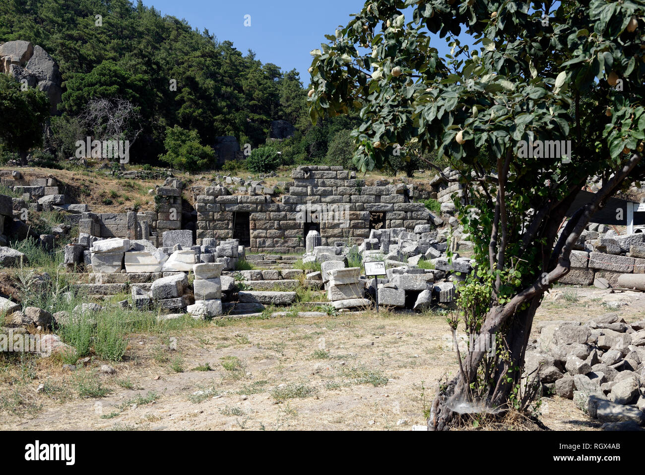 Propylon hi-res stock photography and images - Alamy