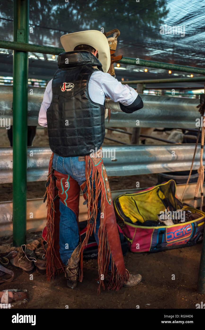 Professional Rodeo Stock Photos & Professional Rodeo Stock Images - Alamy
