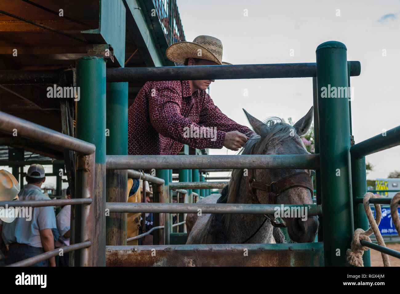 Professional rodeo cowboy Stock Photo - Alamy