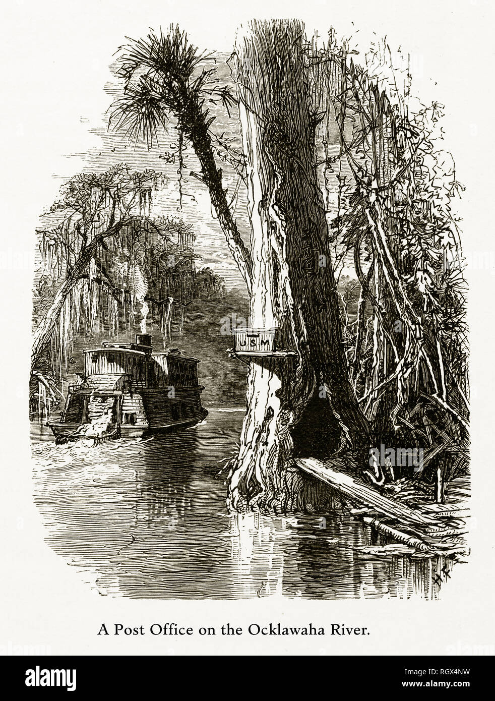 Post Office on the Ocklawaha River, Florida Swamp, Florida, United ...