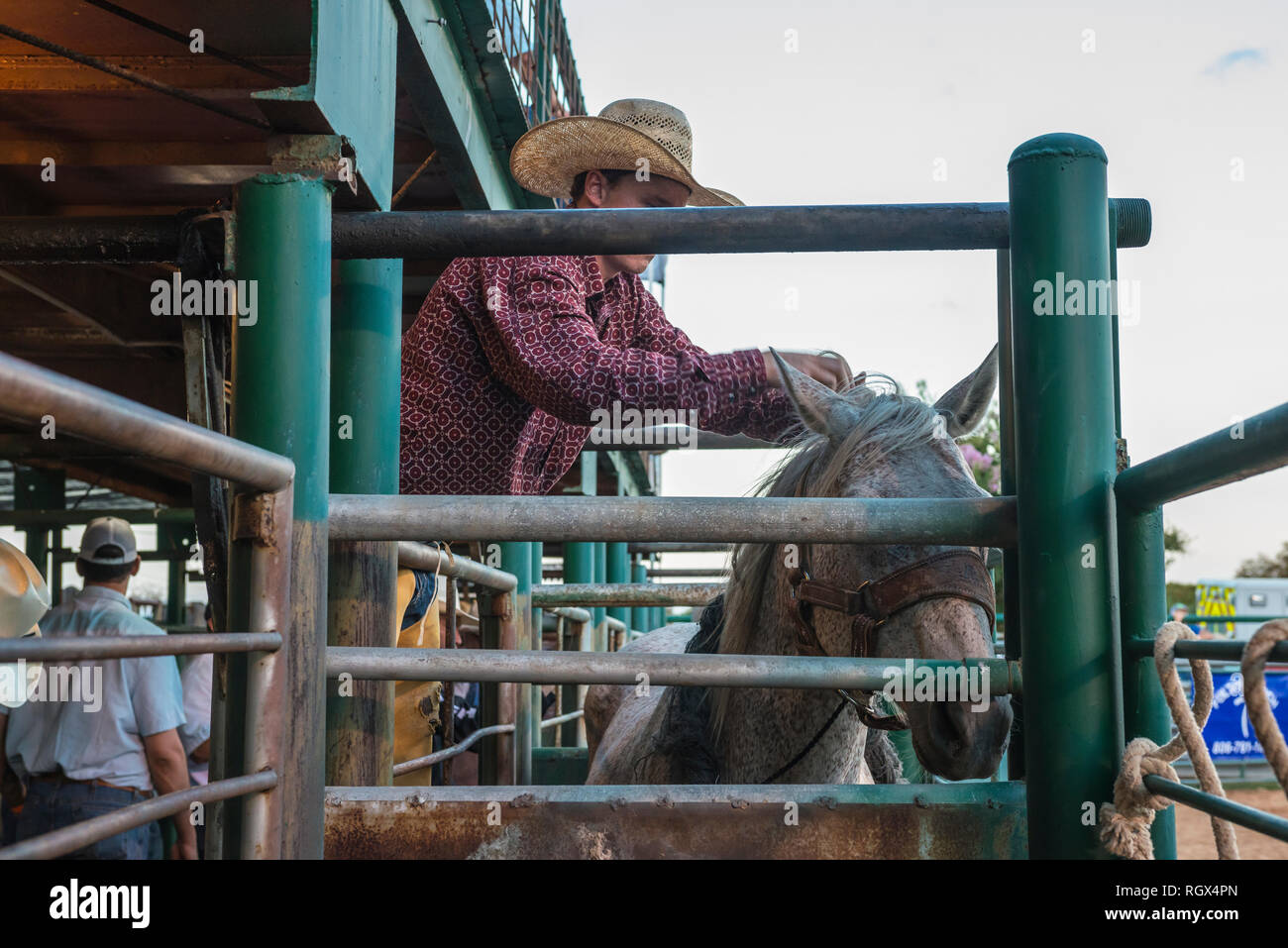 Professional rodeo cowboys Stock Photo - Alamy