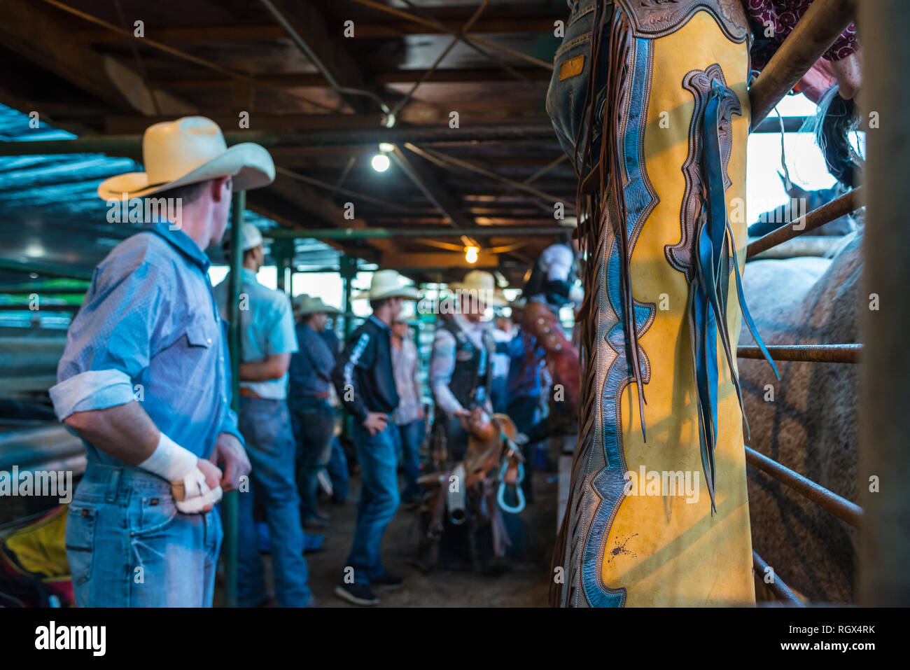 Professional rodeo cowboys Stock Photo - Alamy