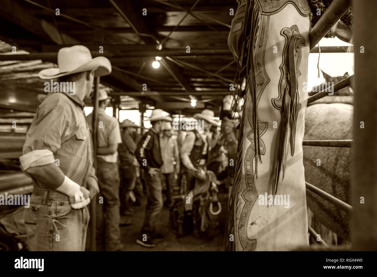 Professional rodeo cowboys Stock Photo - Alamy