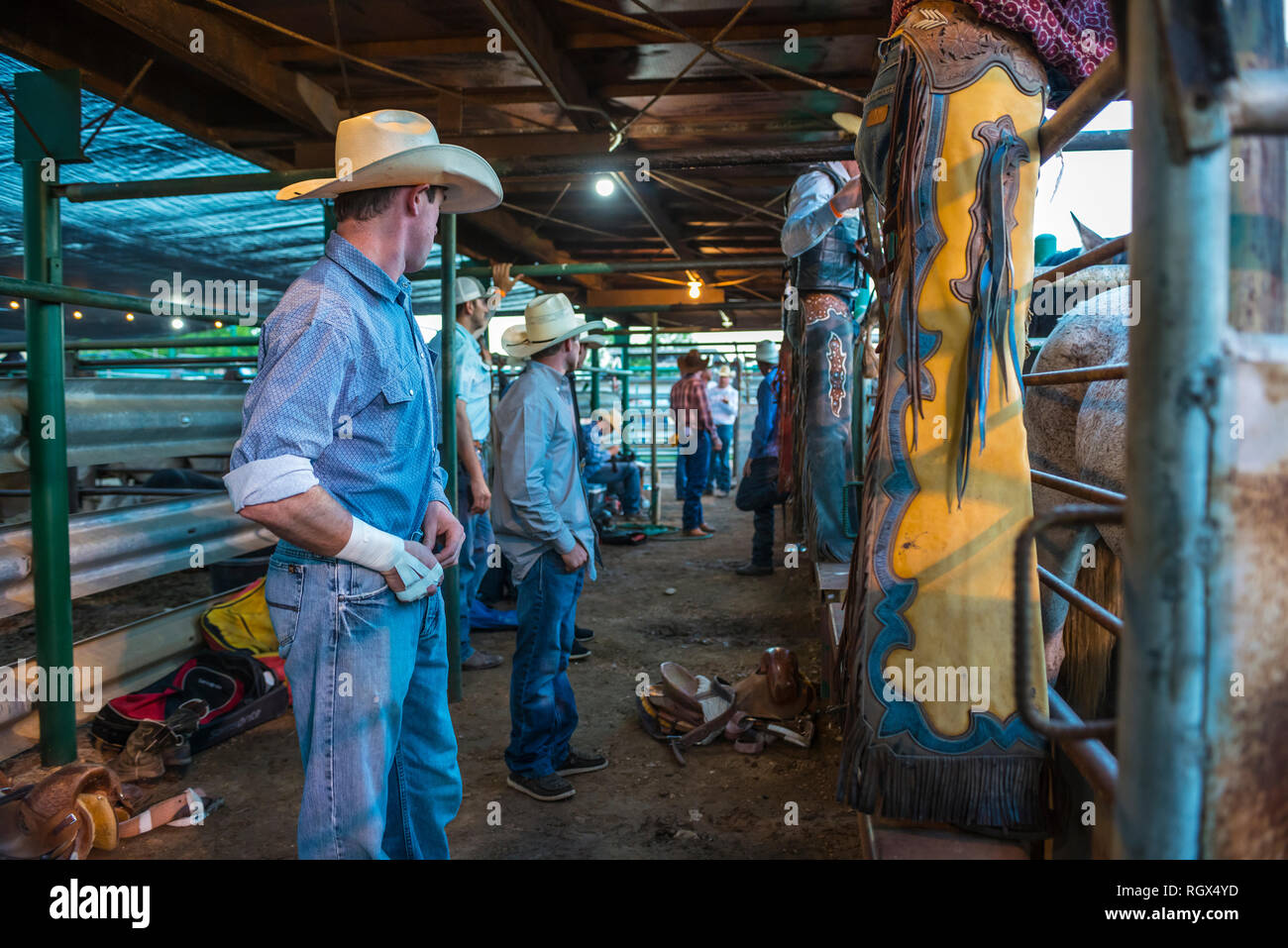 Professional rodeo cowboys Stock Photo - Alamy