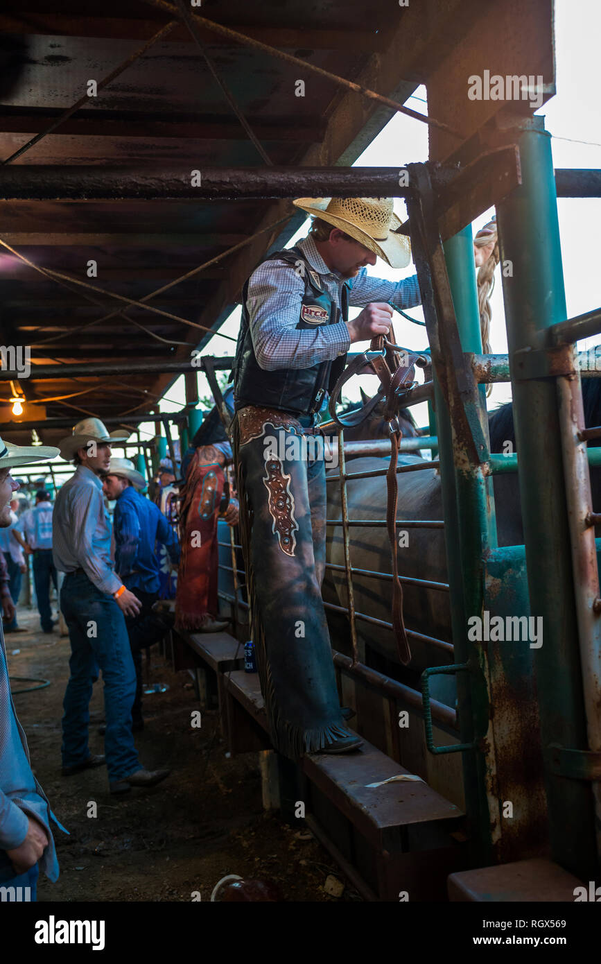 Professional rodeo cowboys Stock Photo - Alamy